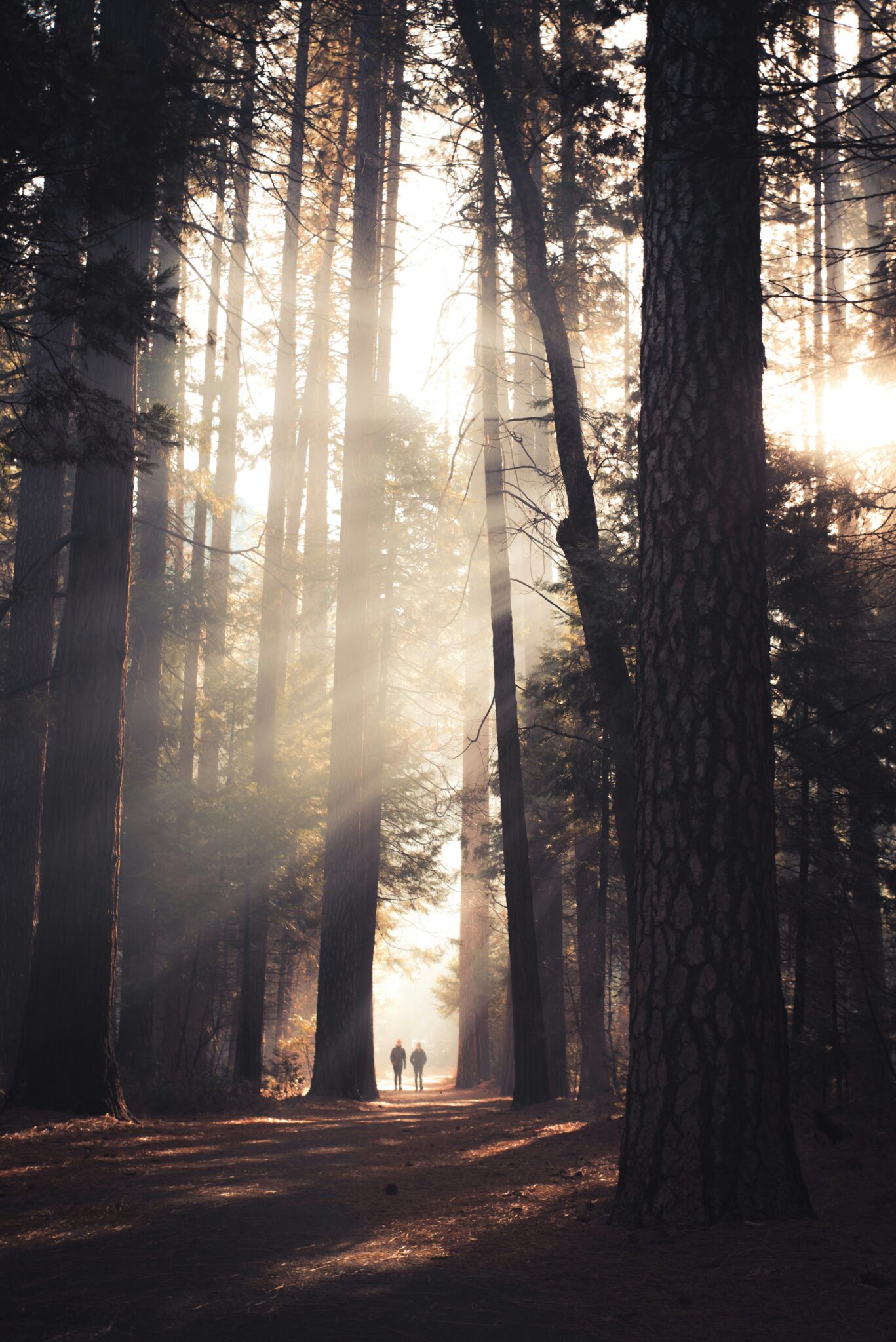 Estate Planning to Help Preserve Family Legacy: What Recent Law Changes ...